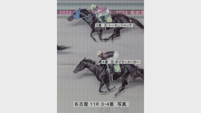 判定写真 2024/11/13 名古屋 11R