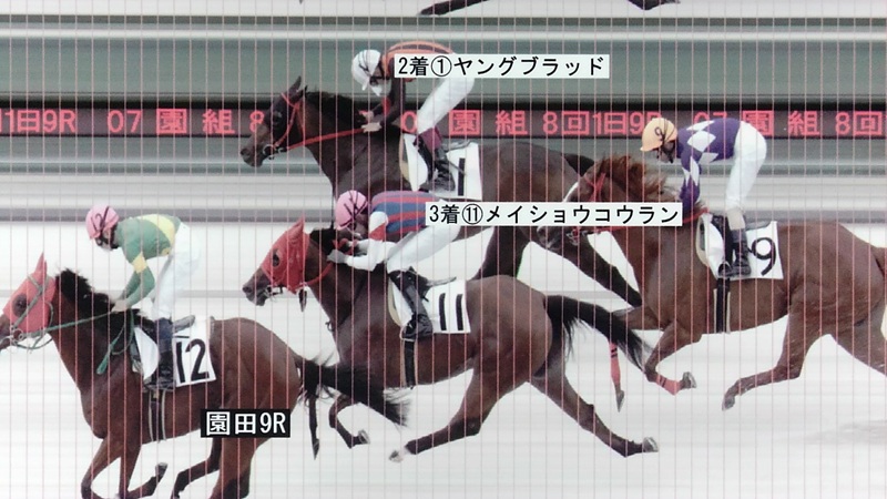 判定写真 2025/06/25 園田 9R